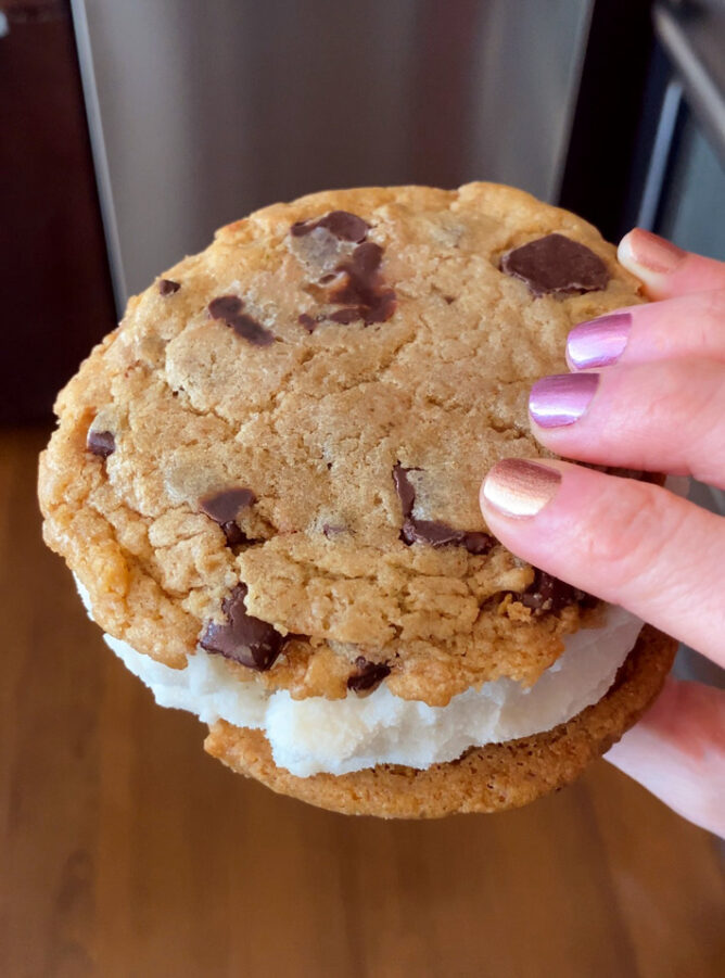 Chocolate Chip Protein Chipwich - Chocolate Covered Katie