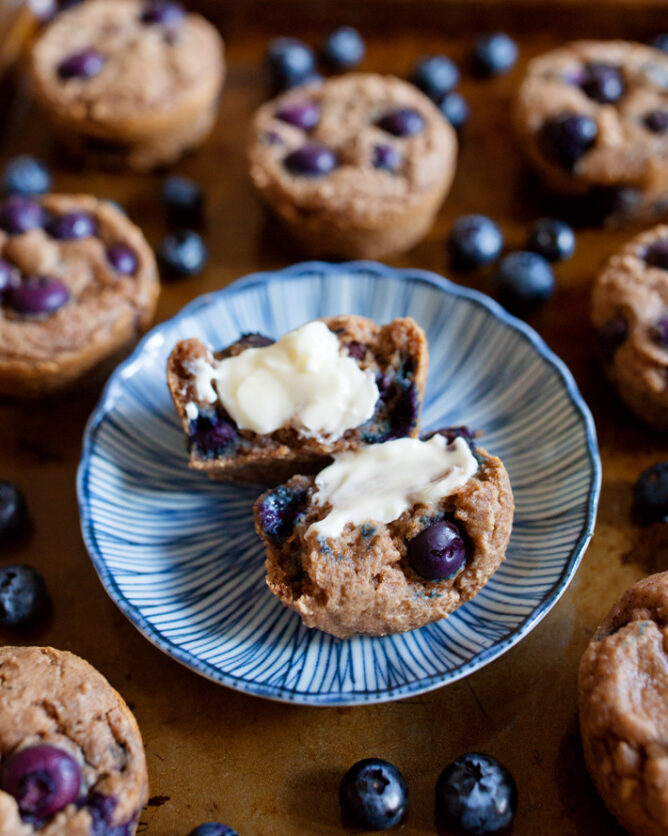 Blueberry Protein Muffins - Over 35 Grams of Protein!