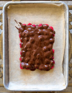 Chocolate Raspberry Bark - Easy Recipe (Just 2 Ingredients)!