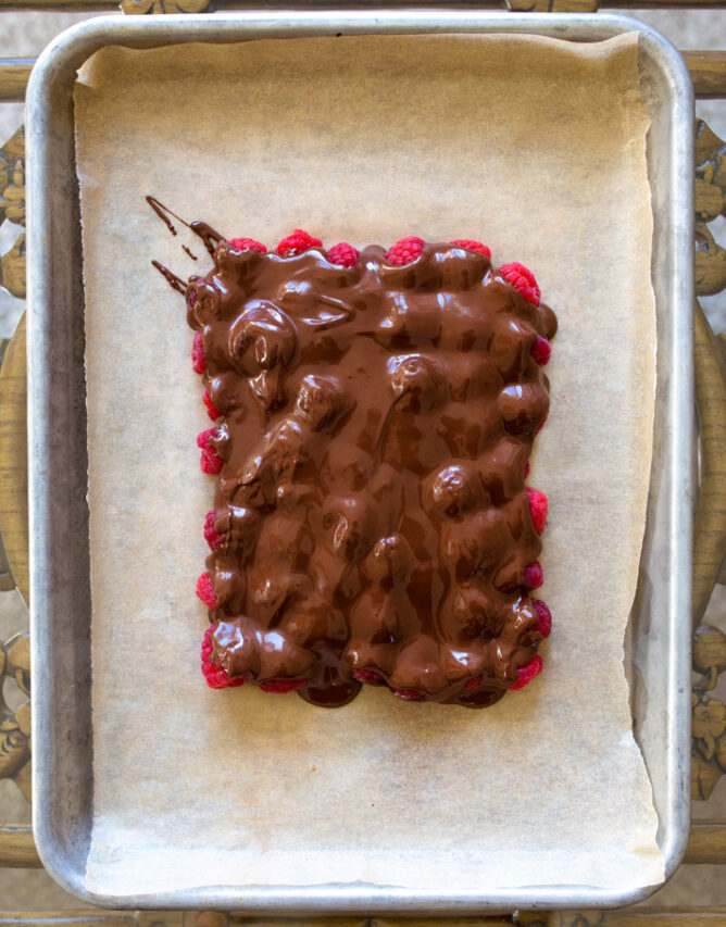 Chocolate Raspberry Bark - Easy Recipe (Just 2 Ingredients)!