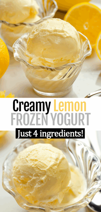 Lemon Frozen Yogurt Recipe - Just 4 Ingredients!