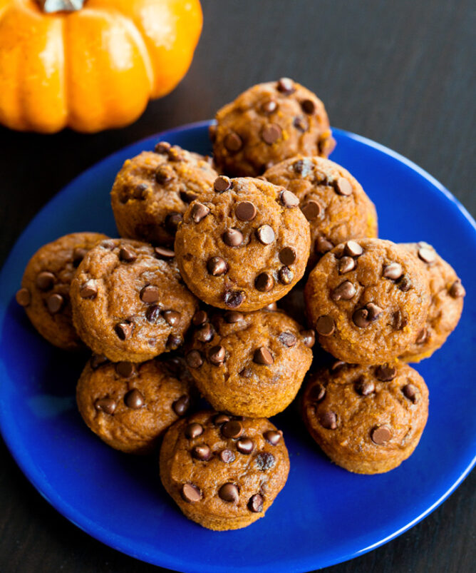Pumpkin Protein Muffins - Over 35g of Protein!